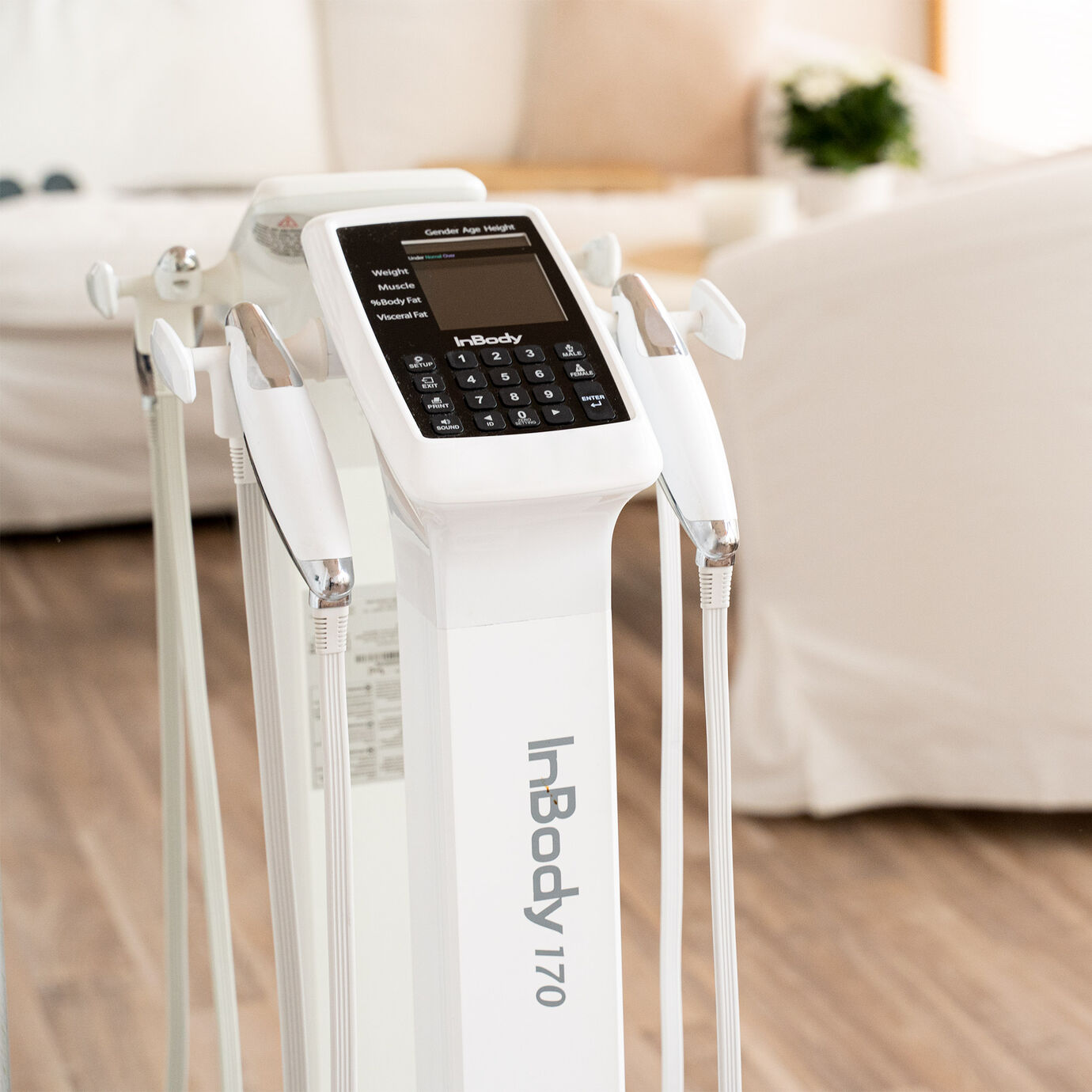 Meranie InBody zadarmo - Bioimpedančné váhy | KetoDiet SK