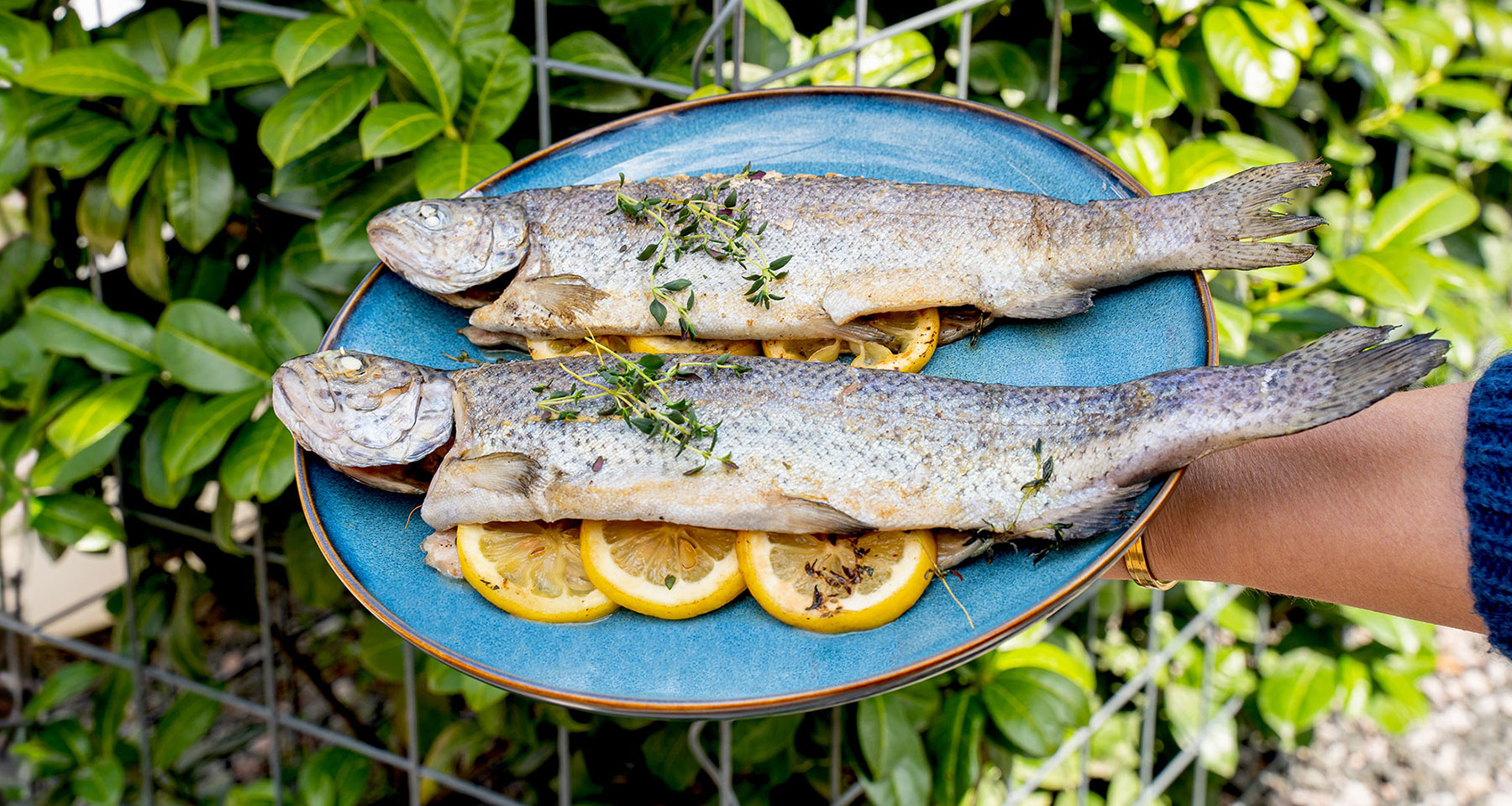 Jak často jíst ryby a proč jsou výjimečné + TOP recepty | KetoDiet CZ